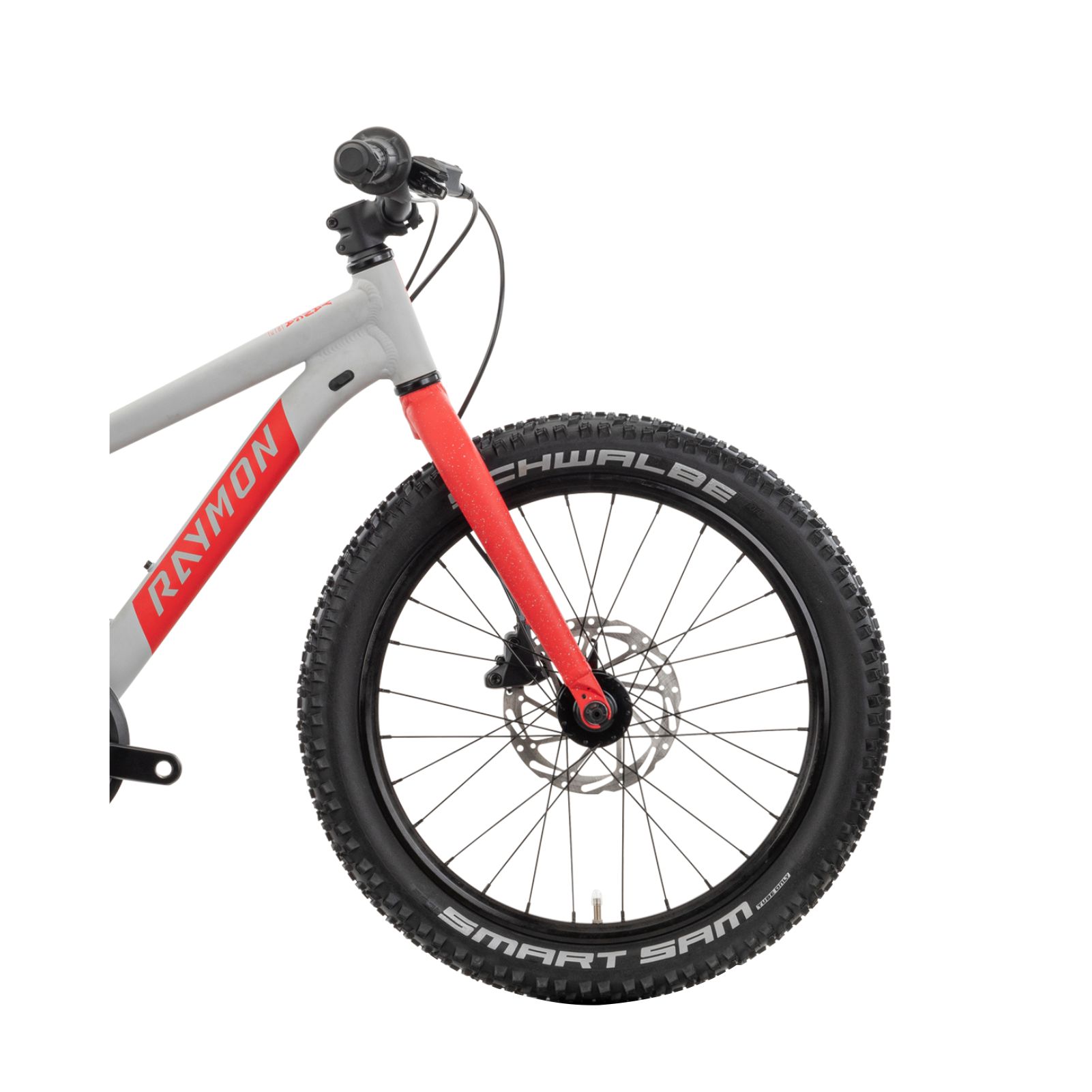 Bicicleta Copii Raymon Yanga 20 Pro 2025 - 20 Inch, Gri - Altus - - Cod ...